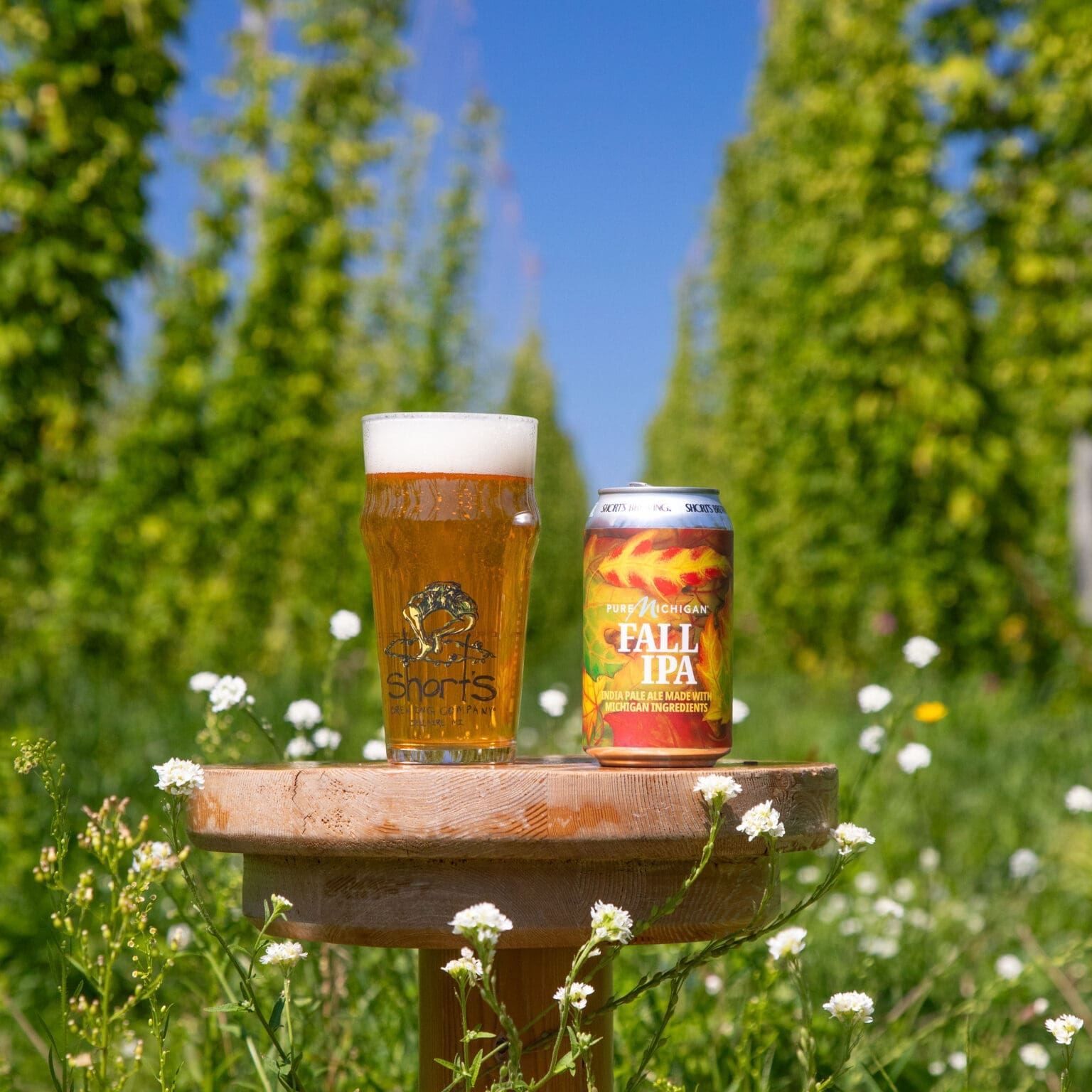 Pure Michigan Fall IPA - Short's Brewing Company
